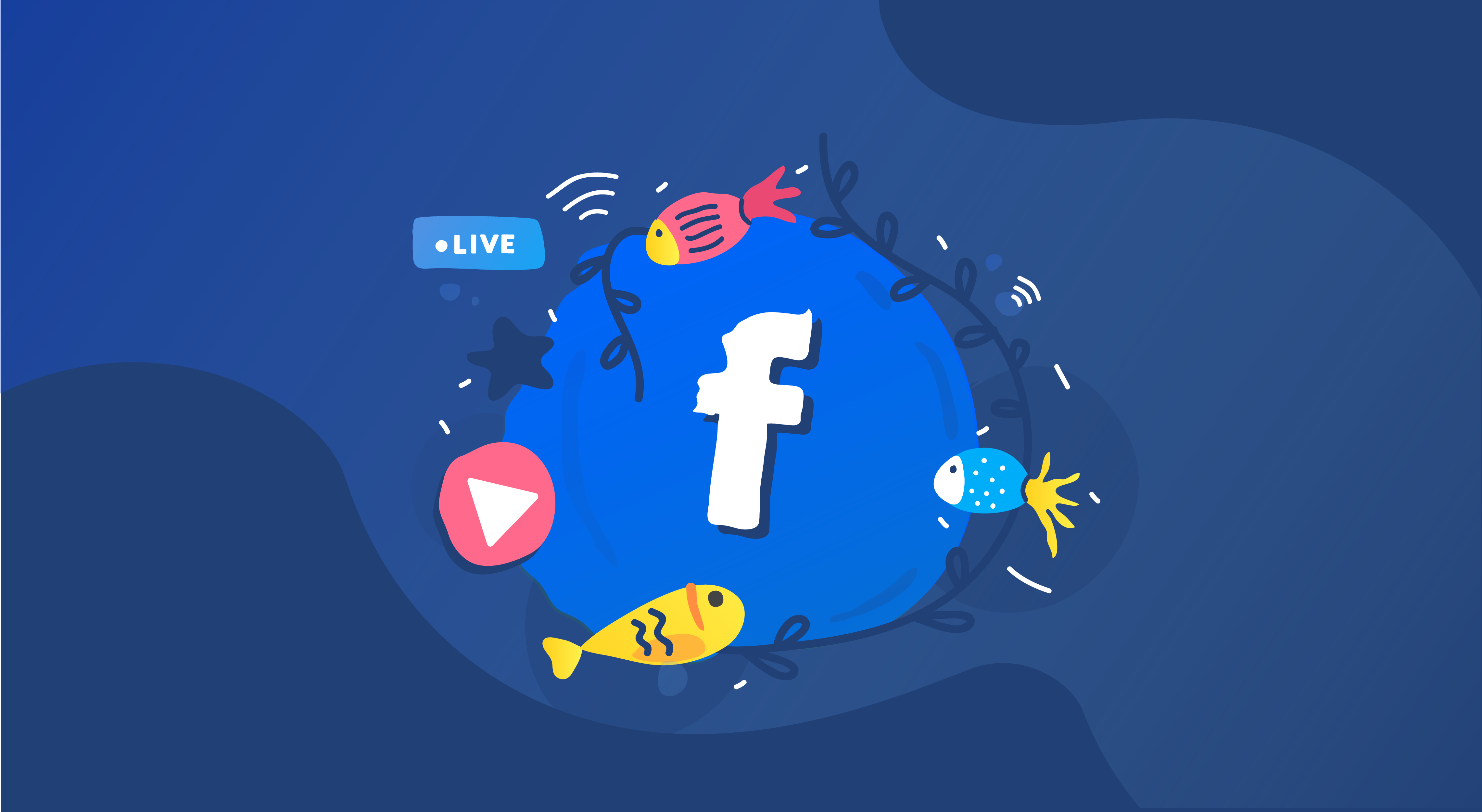 How to Stream on Facebook: Understand the Rules and Benefits - Castr's Blog
